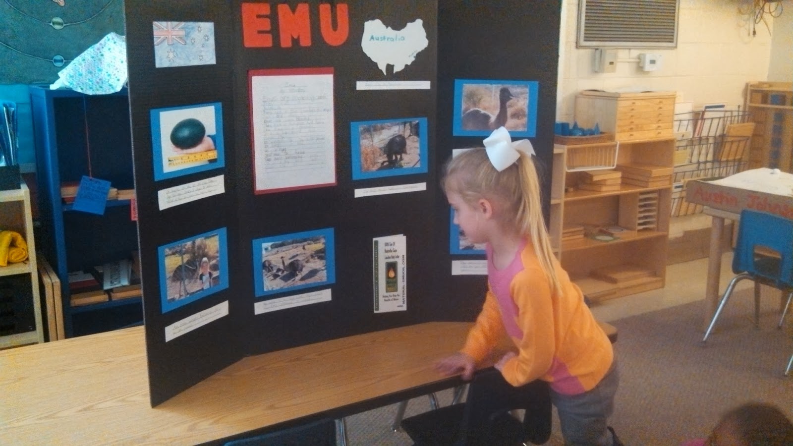 Stirring Up Life: Australian Animal Projects