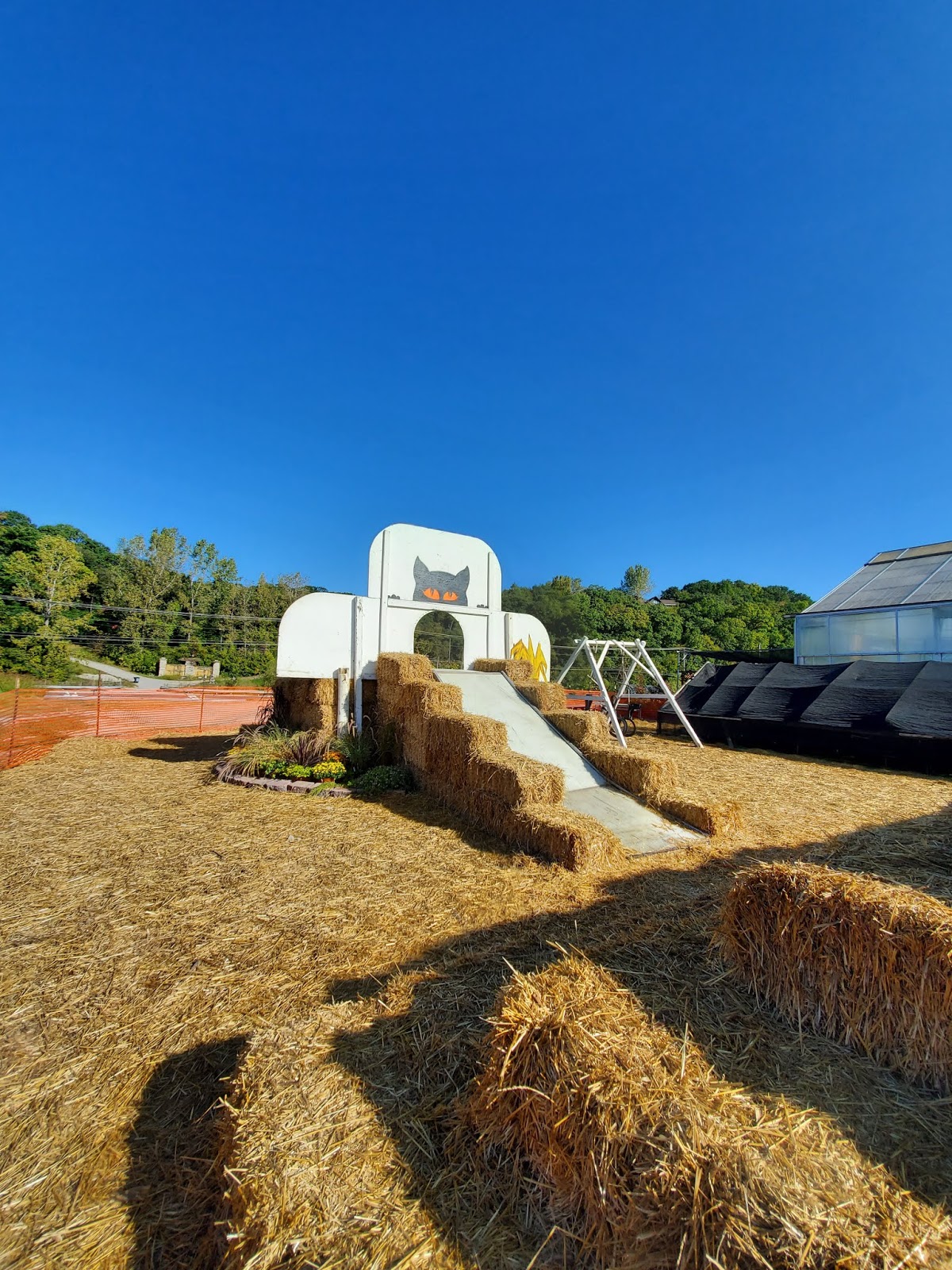 Play St. Louis: Thies Farm, St. Charles