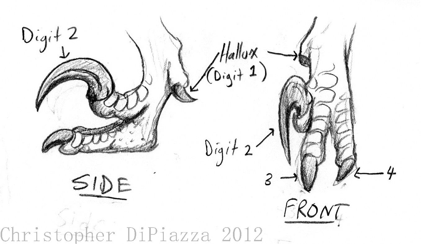 Prehistoric Beast of the Week: A New Look at Killer Claws