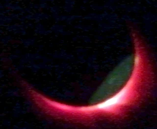 Let's Hatch Chicks! A Day-by-Day Egg Hatching Tutorial - Fresh Eggs ...