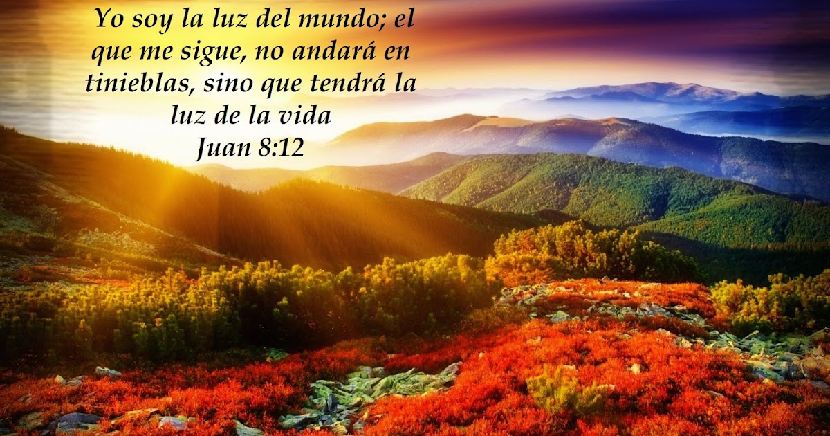 Jesús la luz del mundo (Juan 8:12-20) - Mundo Bíblico: El Estudio de su Palabra