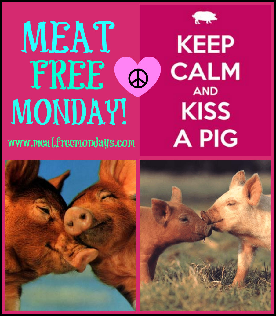 WICKED FAERIE QUEEN MEAT FREE MONDAY ER TUESDAY wicked-faerie-queen-meat-free-monday-er-tuesday