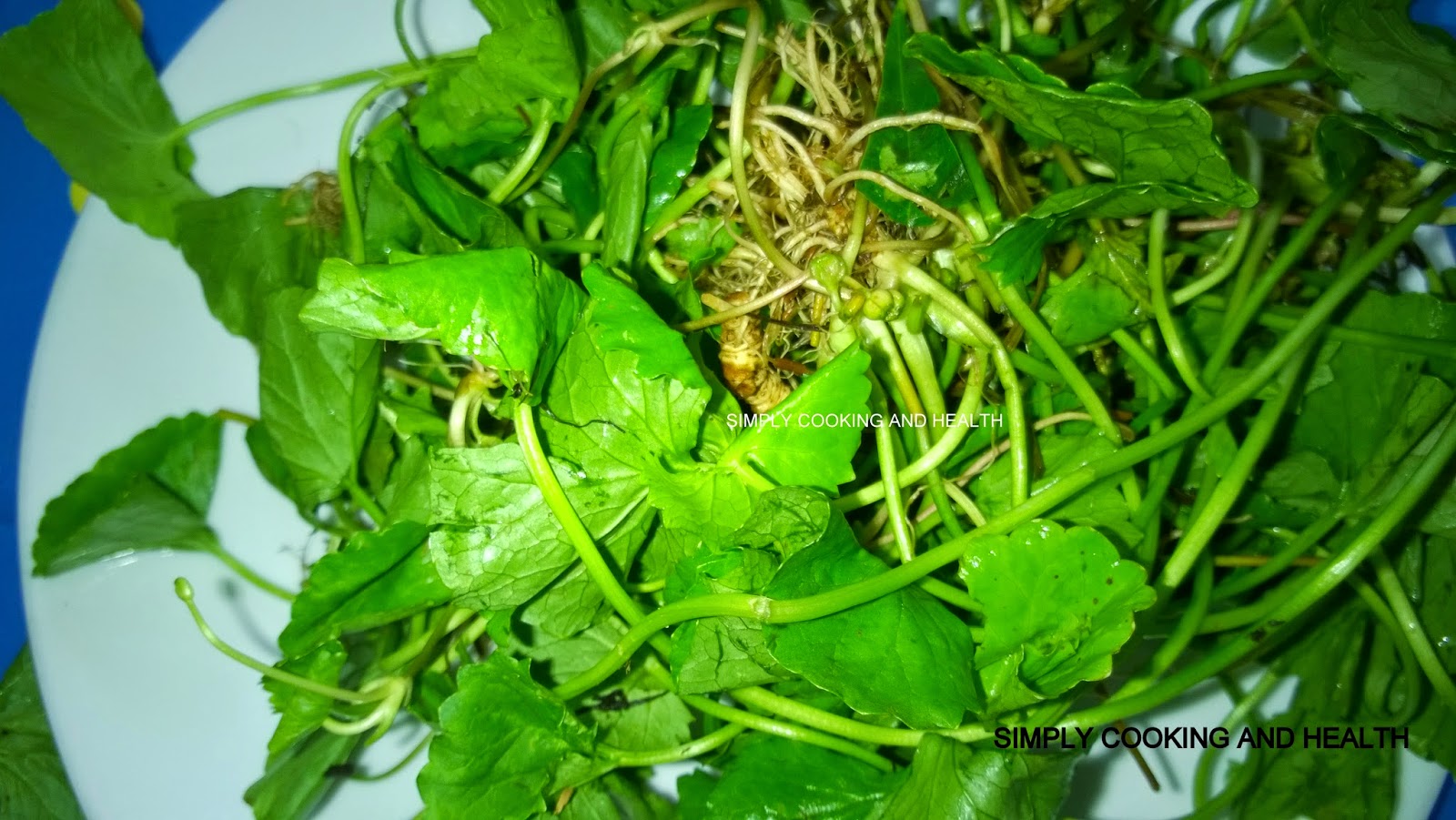 Simply Cooking and Health: Gotu kola salad with carrot (Centella asiatica)