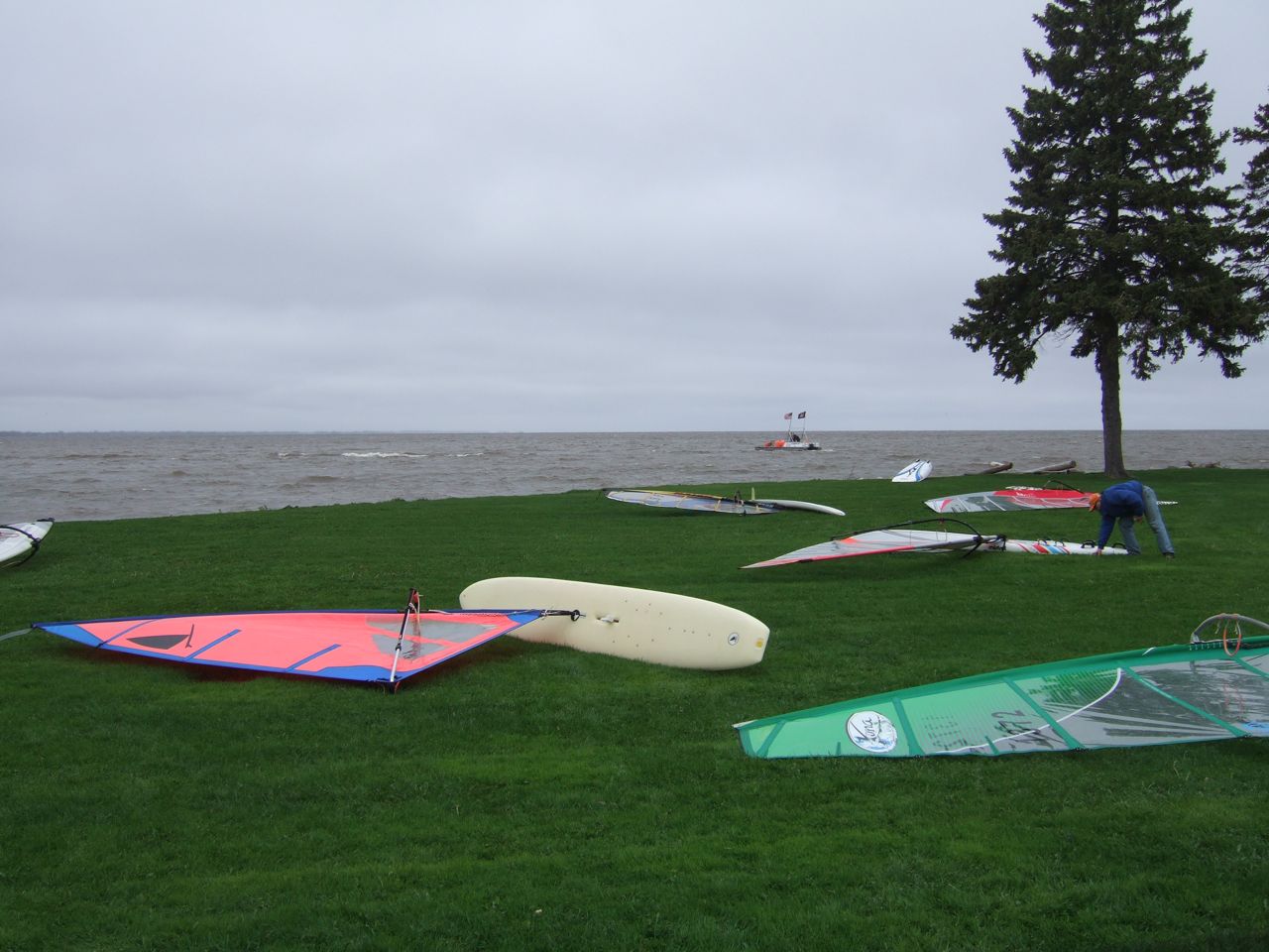 Original Windsurfer: One Design Regattas & More NEW Boards.