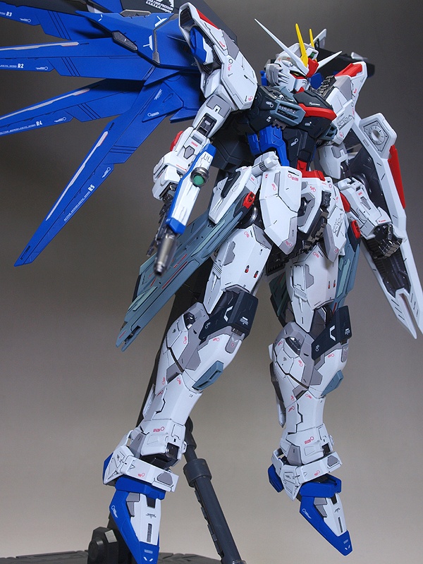 Custom Build: MG 1/100 Freedom Gundam Ver. 2.0 [Detailed]