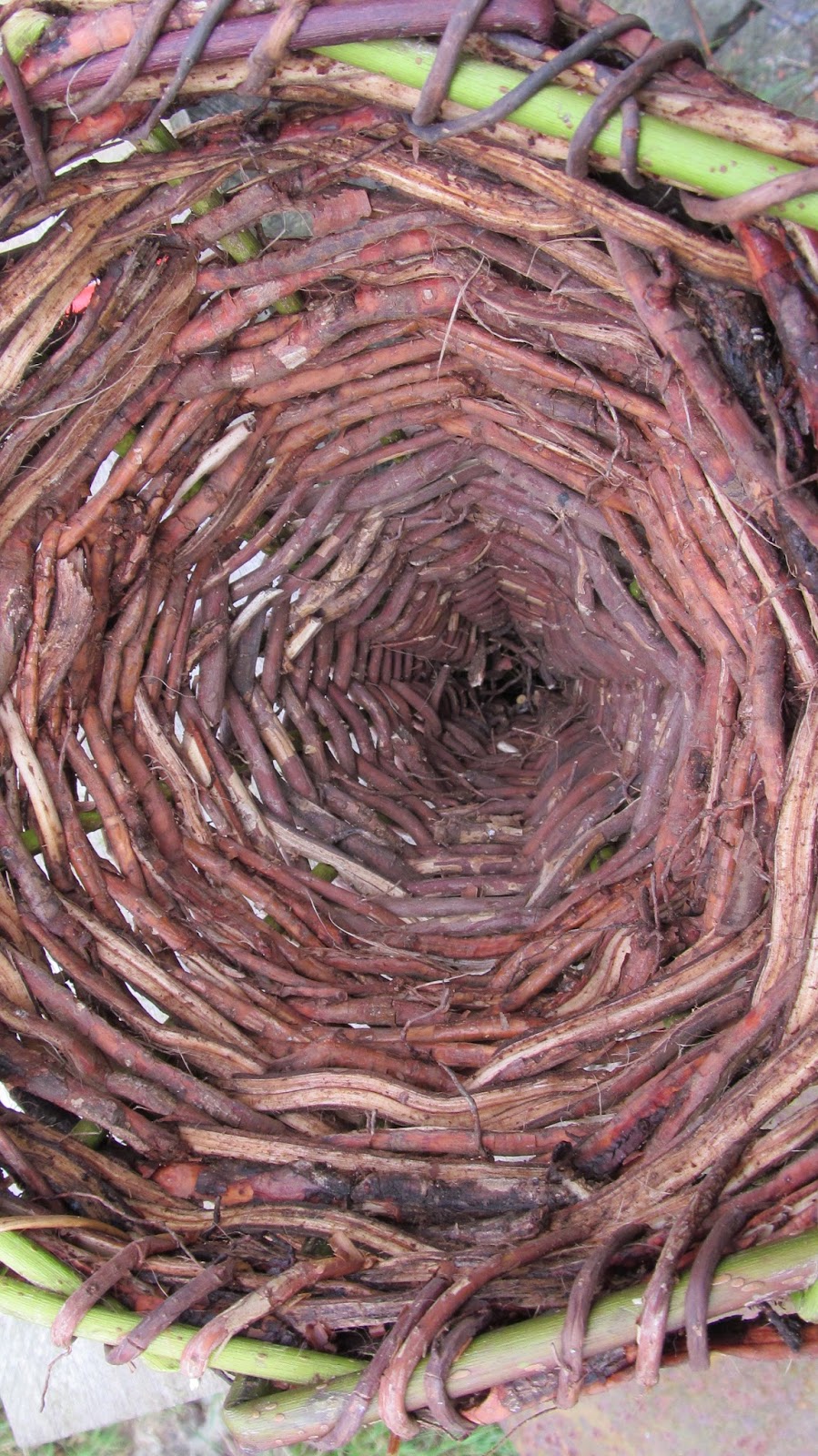 BUZZARD BUSHCRAFT: Spruce Root Basket