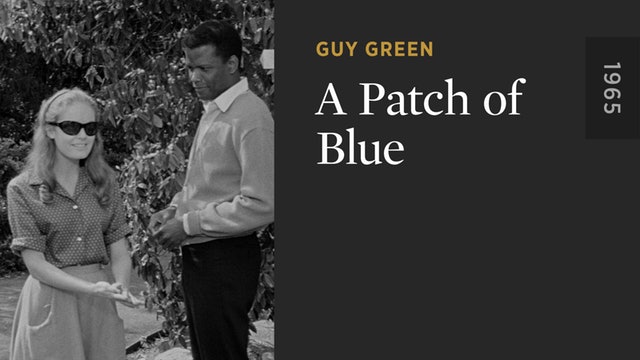 A Patch Of Blue Poster