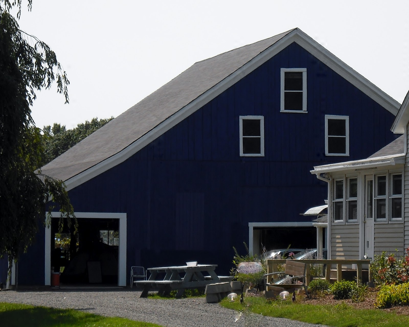 Navigating Modern Life: Welcome the Rooster and the Blue Barn