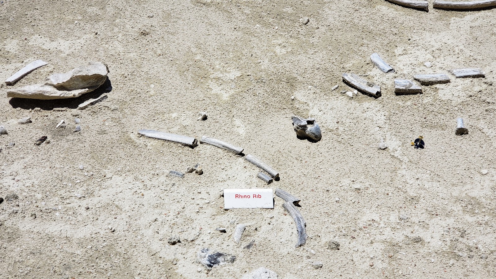 History and Culture by Bicycle: Ashfall Fossil Beds State Historical ...