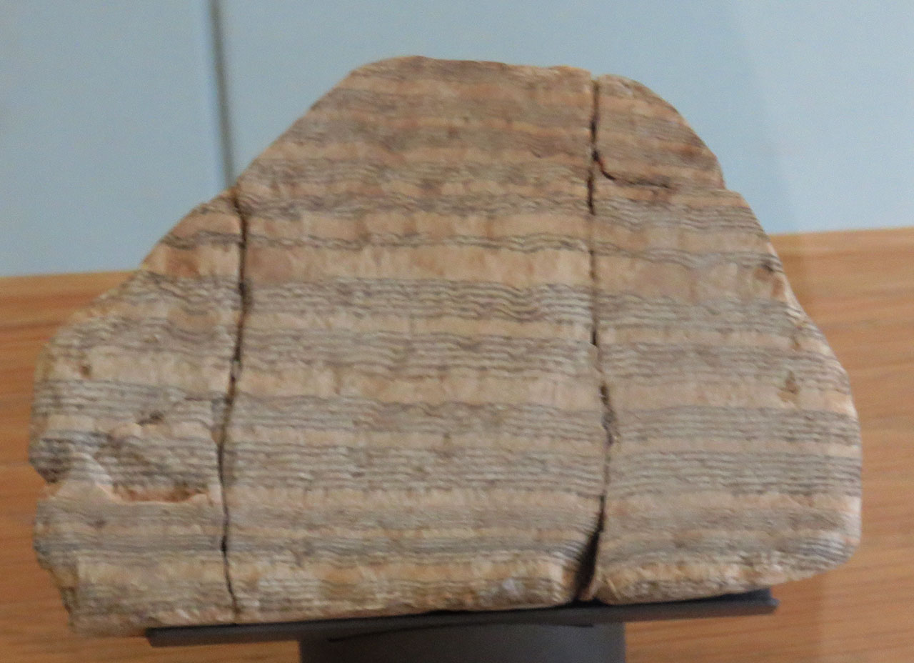 Louisville Fossils and Beyond: Sunday Stone - A Coal Mine Work Log?