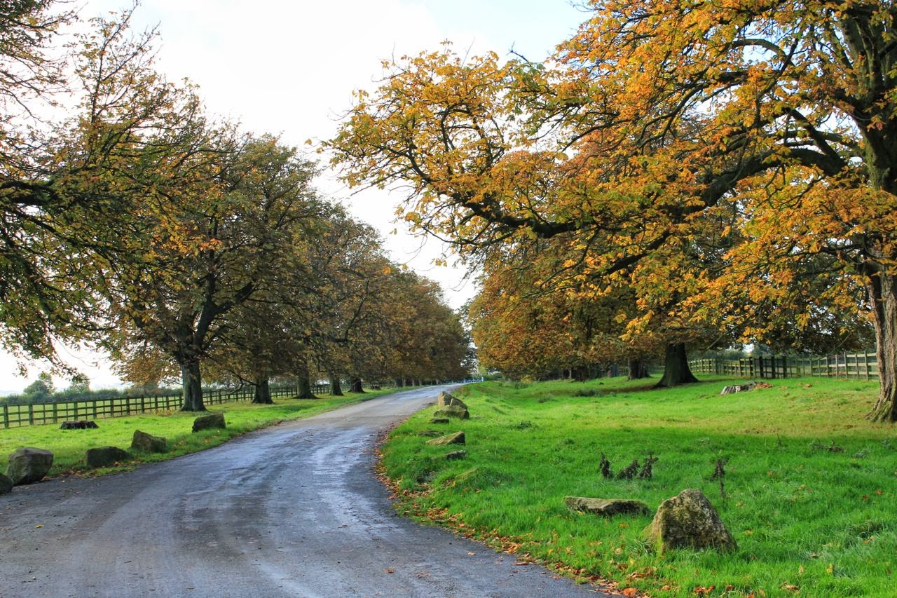 aliwalks : Keyham circular