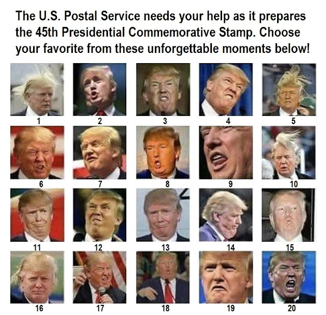 The Lady(Bug) of the Household: USPS Meme Survey