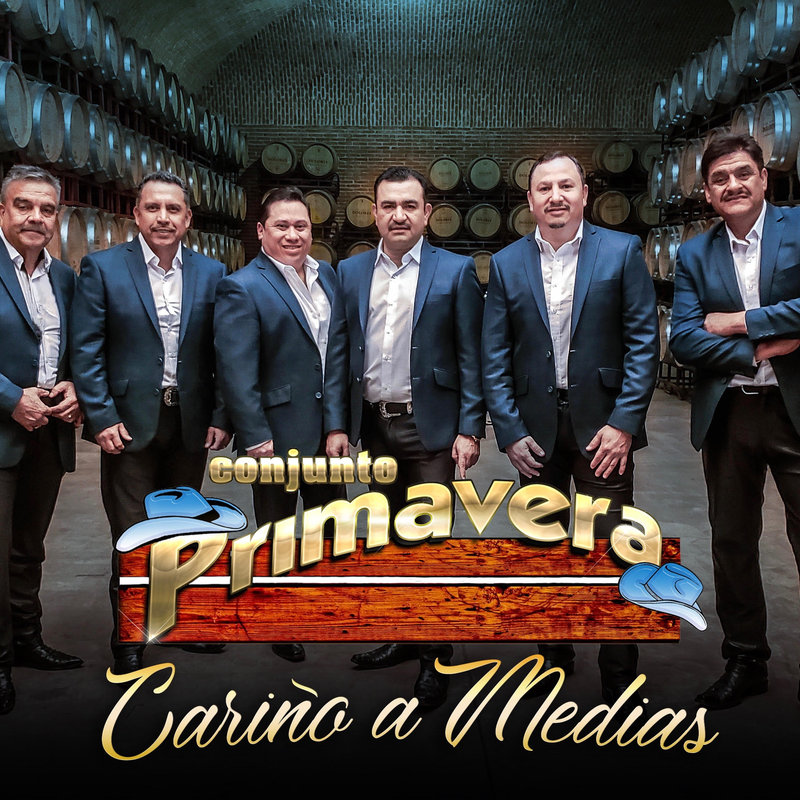 Descarga Discografia Completa - Conjunto Primavera, 54 Cds en MEGA (1 Link)