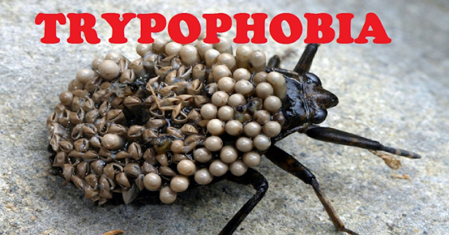 ADAKAH ANDA MEMPUNYAI TRYPOPHOBIA? - BERITACERITA