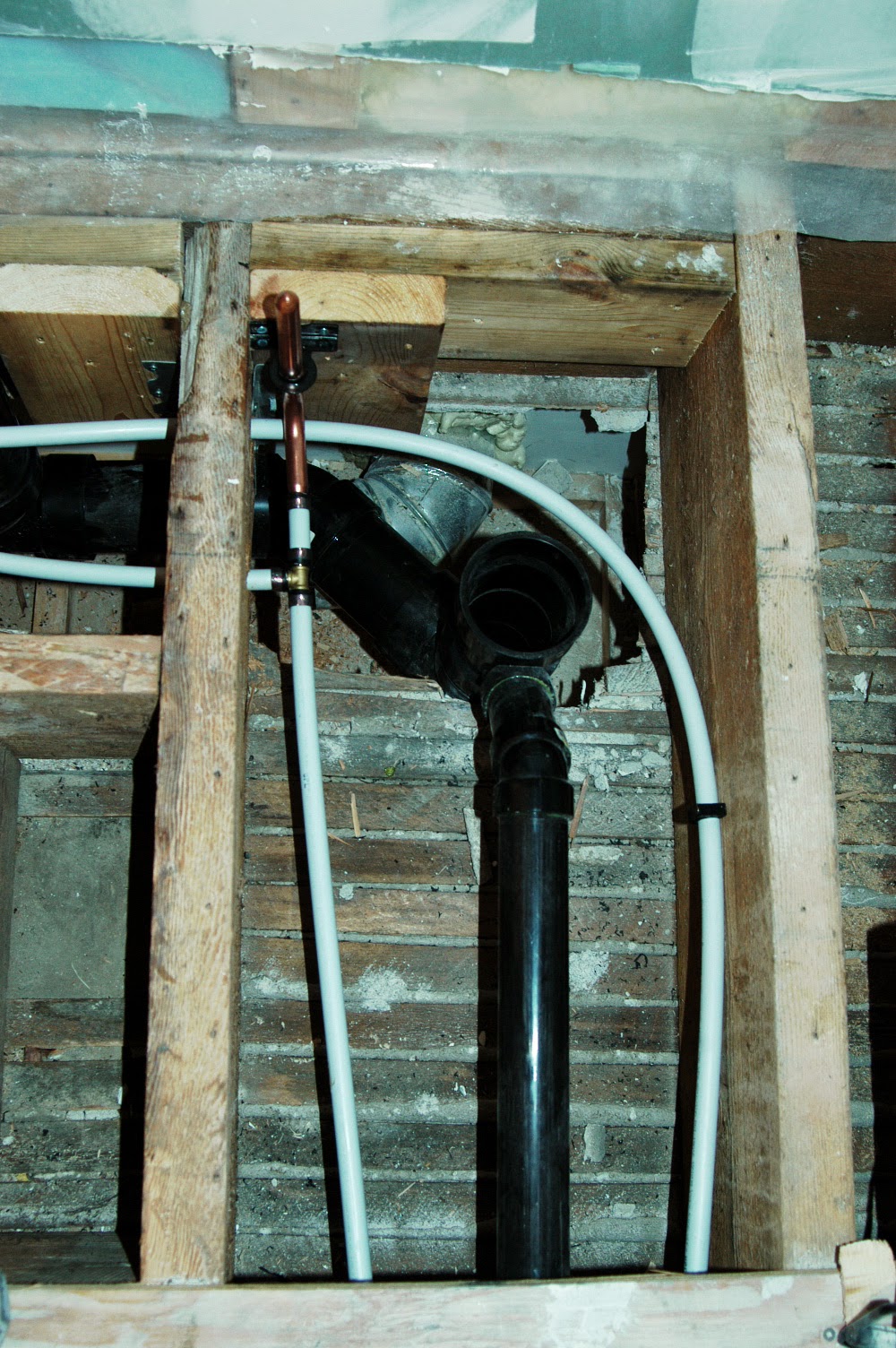 Field House Chronicles