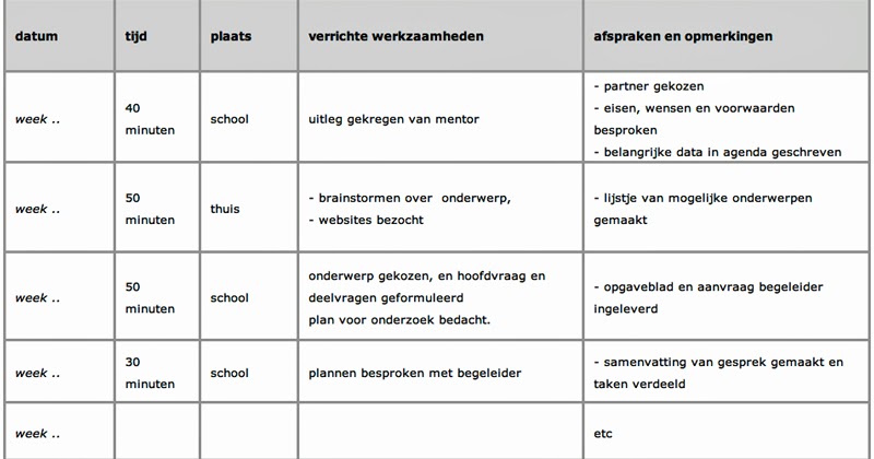 p r o f i e l w e r k s t u k stap-voor-stap: stap 5: plan van aanpak