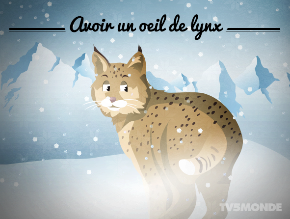 FLE en ESO: Travaillez le lexique des animaux