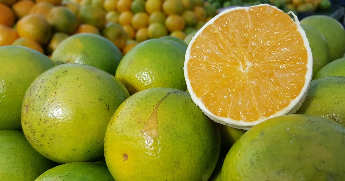Conheça os benefícios da laranja pera, o produto destaque da semana (18/6)