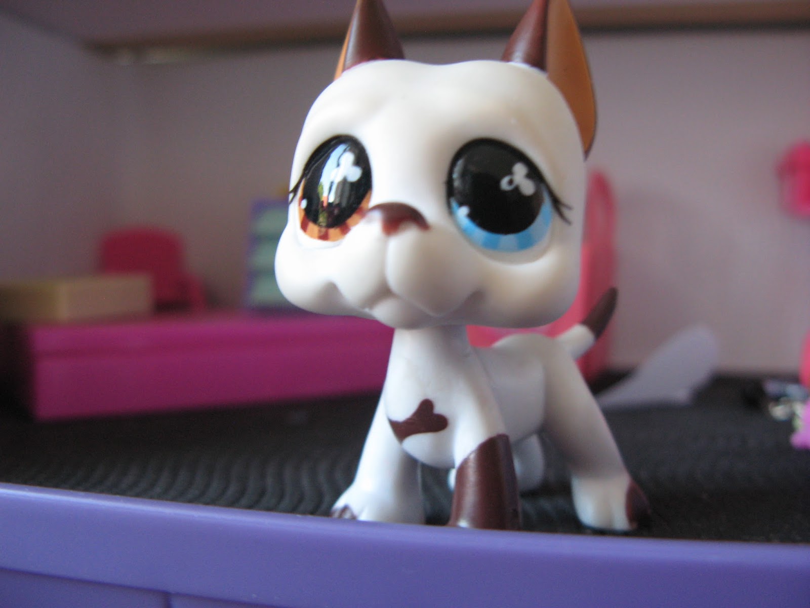 Mój świat LPS: 66. LPS: Moja ekipa LPS - cz. 3 - Dogi Niemieckie