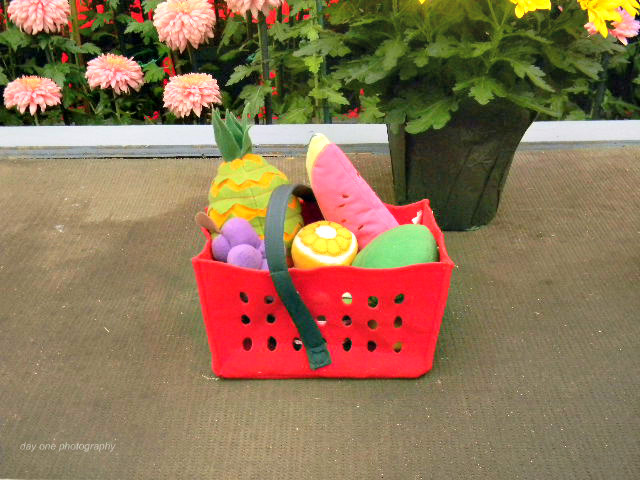 Day One Photography: Mum Show 2020