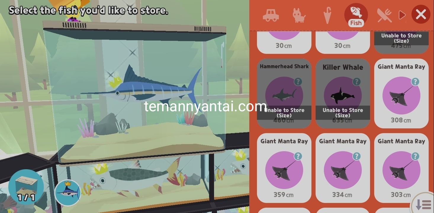 Play Together : Fish Tank Guide