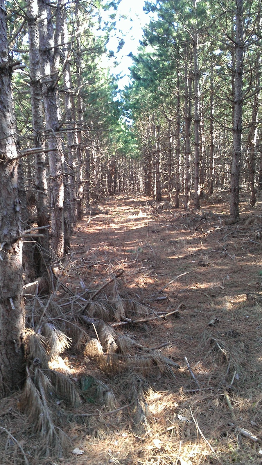 Jacob Burandt's Geospatial Field Methods: Priory Navigation 2 ...