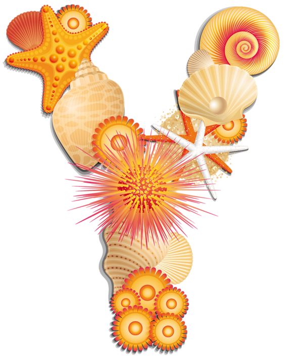 Escuela infantil castillo de Blanca: ALFABETO CON CONCHAS