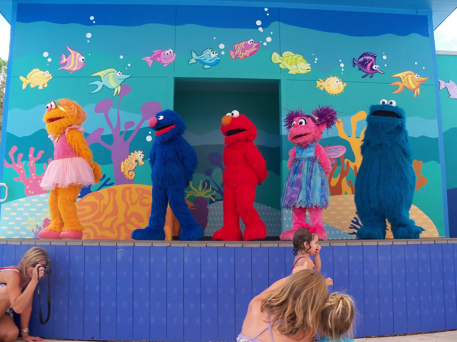 Life From A to Z: SeaWorld!