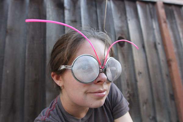 Bug Glasses : Bear Ears