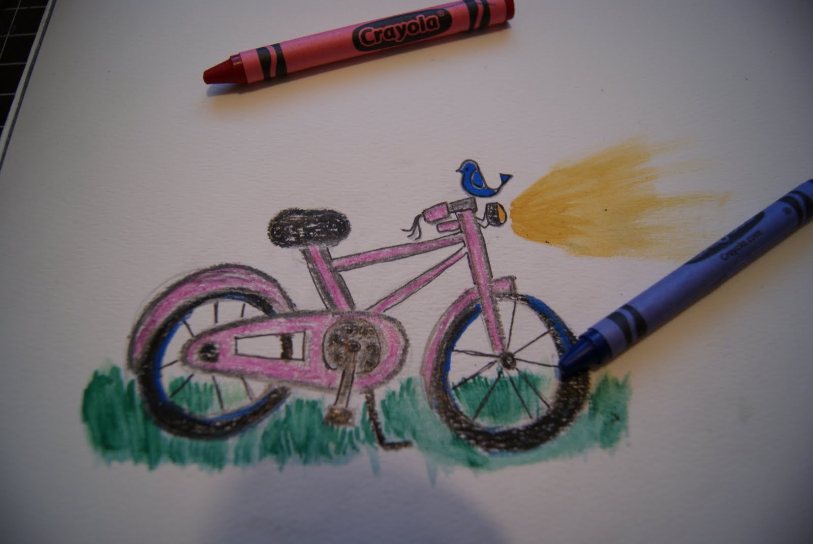 Amanda Lesh / Brady Design CO: Day 1! Bikes!