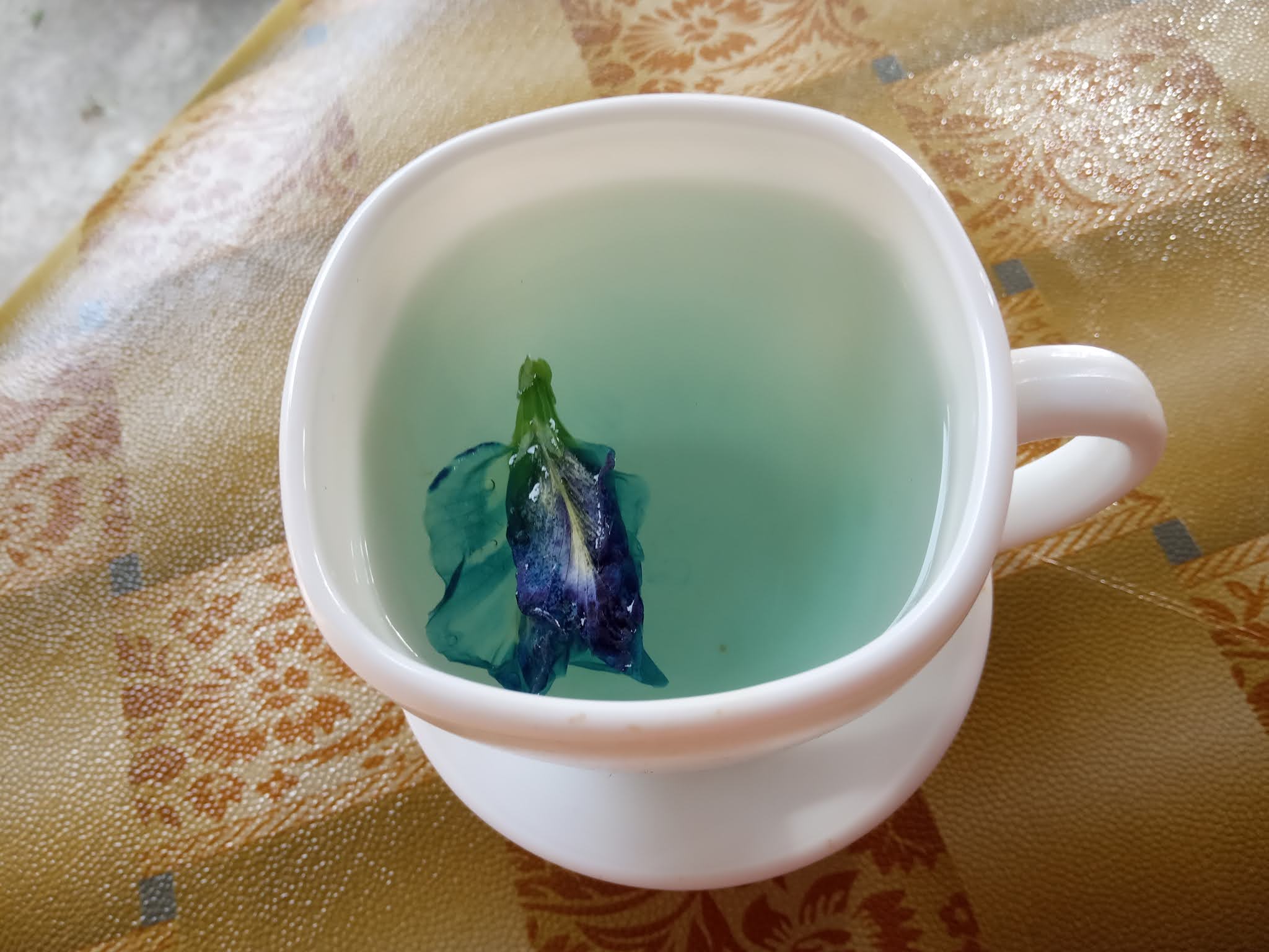 10 Health Benefits of Blue Ternate Tea