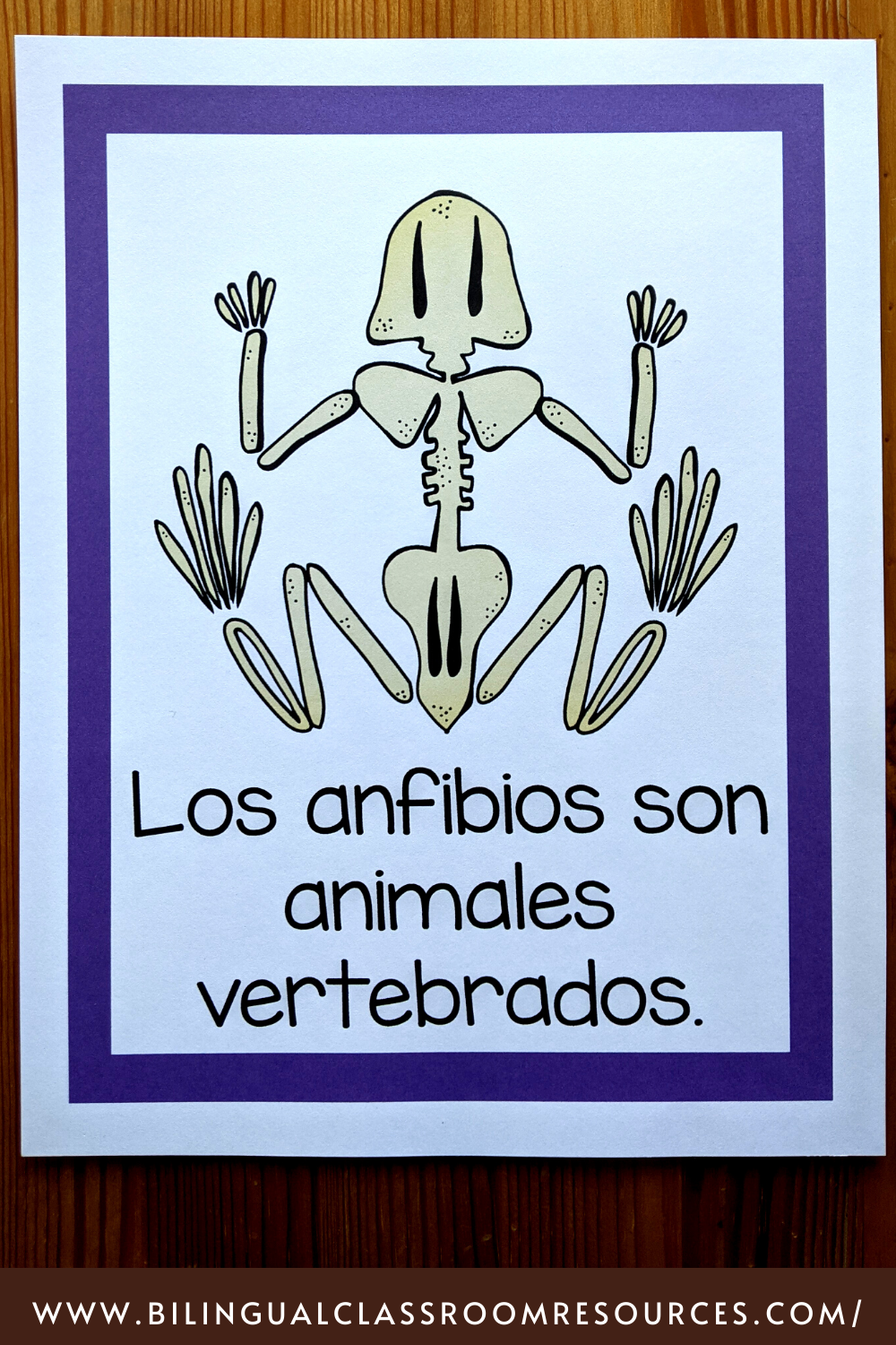 Awesome Hands-on Science Centers in Spanish That Your Students Will ...