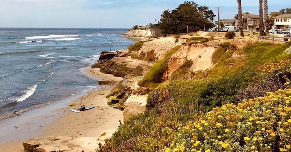 Forestdweller: Pleasure Point