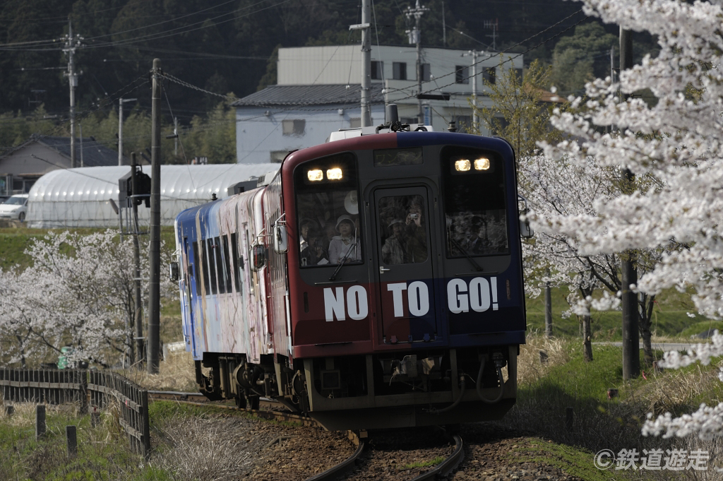 鉄道遊走: 花いろ列車と桜・2