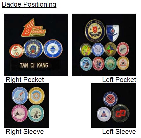 East View NPCC: Badges and Ranks