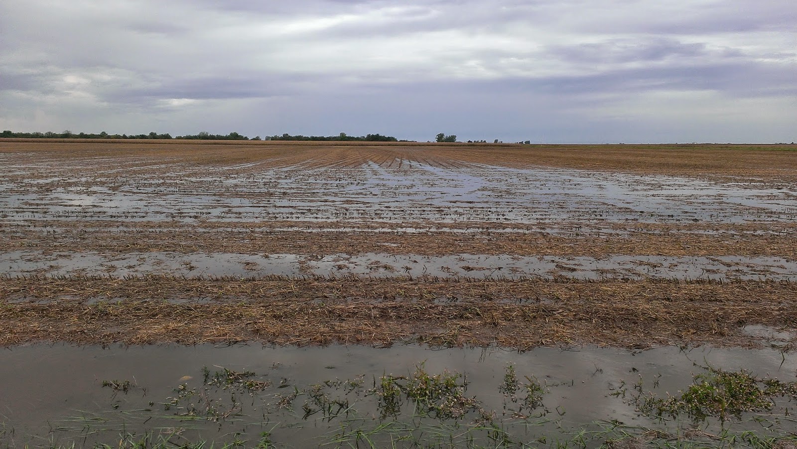 How Wet Is It? - Cultivation Of Crops