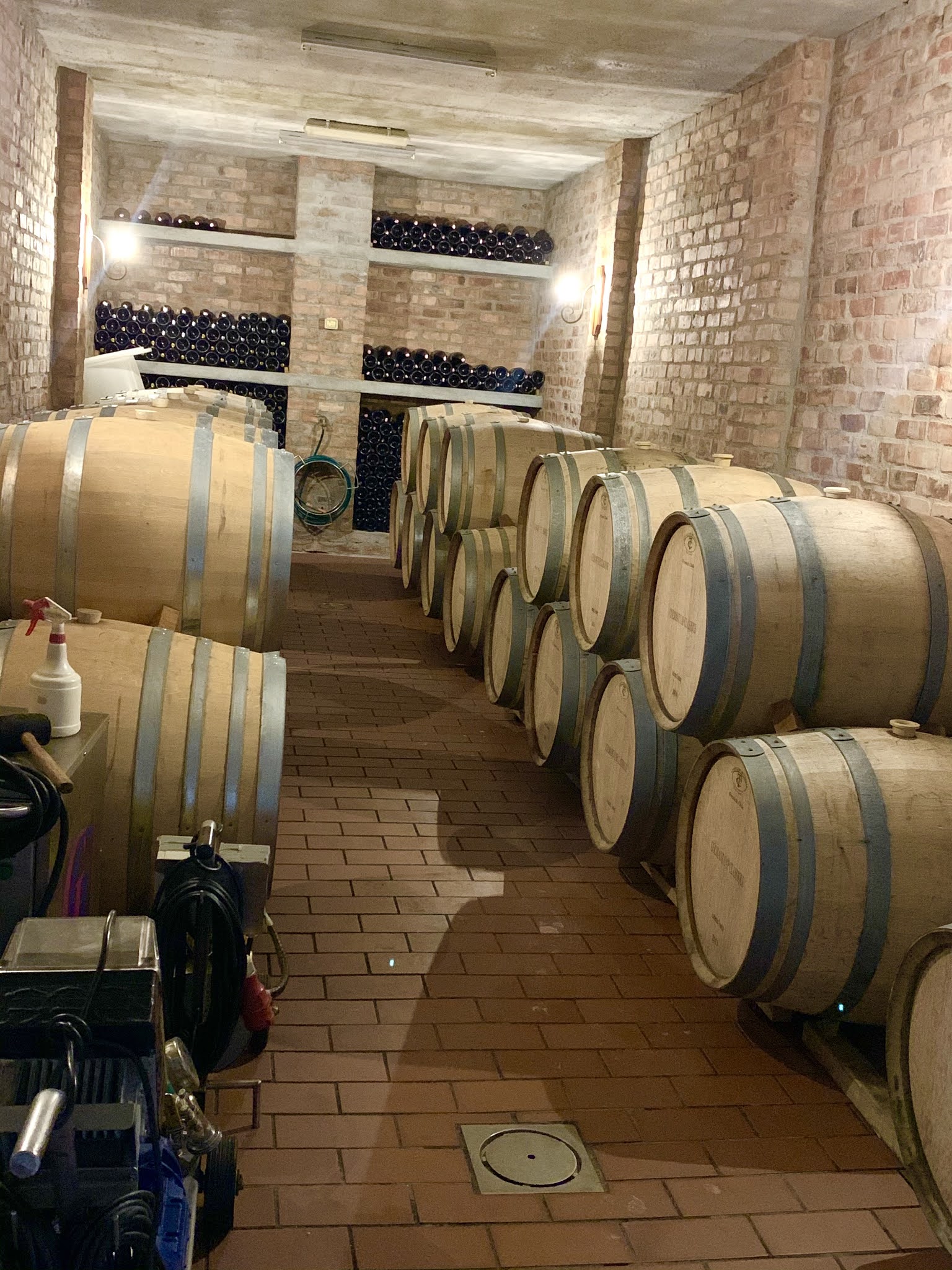 Nicole SteppingOut: Nicole Stepping Out visits Colmant Cap Classique ...