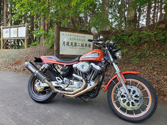 がるーだのターコイズ スポーツスター (garuda's turquoise sportster): 5/30 スポーツスター バーンHDから ...