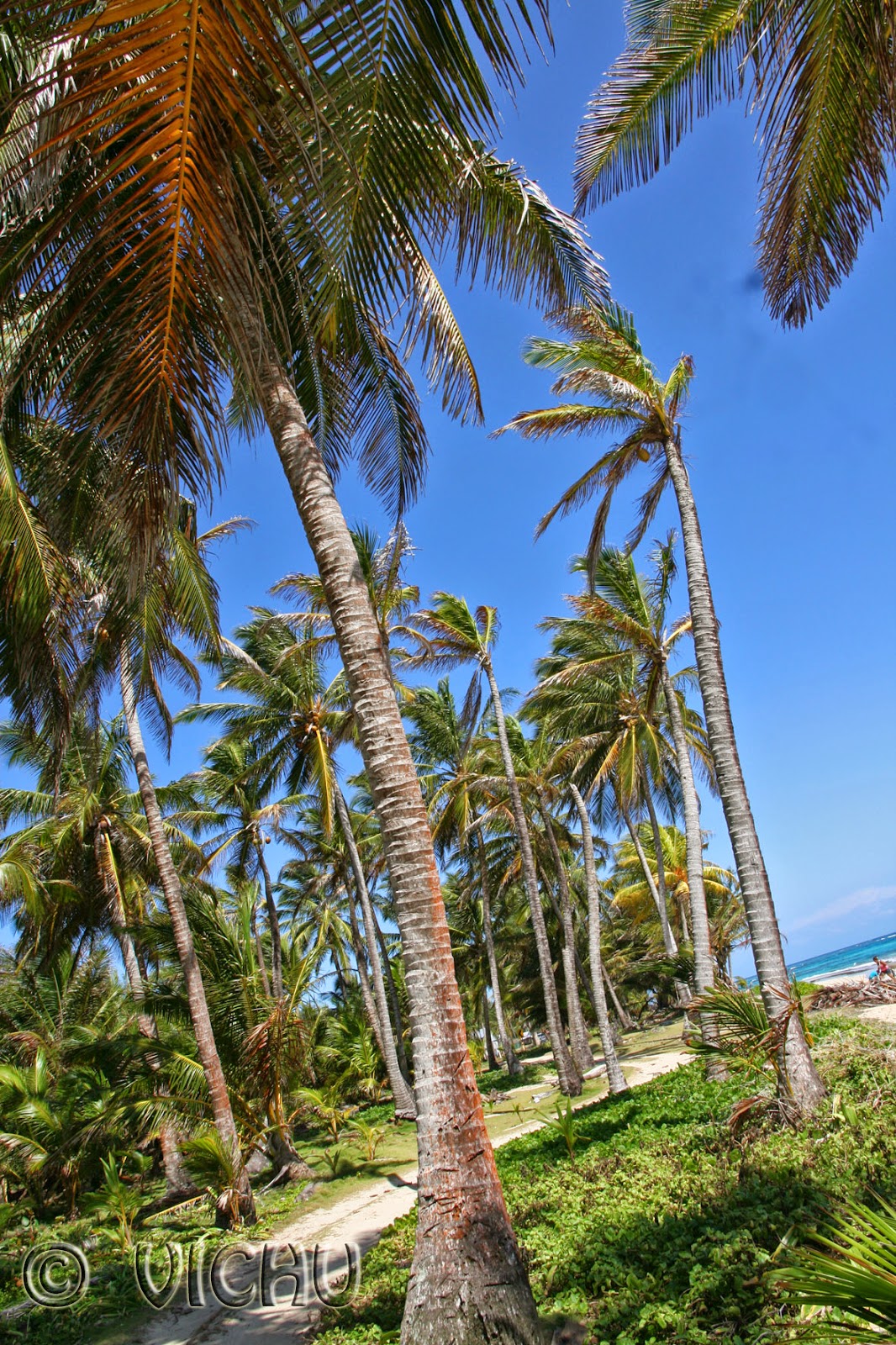 IMAGENES Y VIAJES: CORN ISLAND, ISLA DEL MAIZ, NICARAGUA
