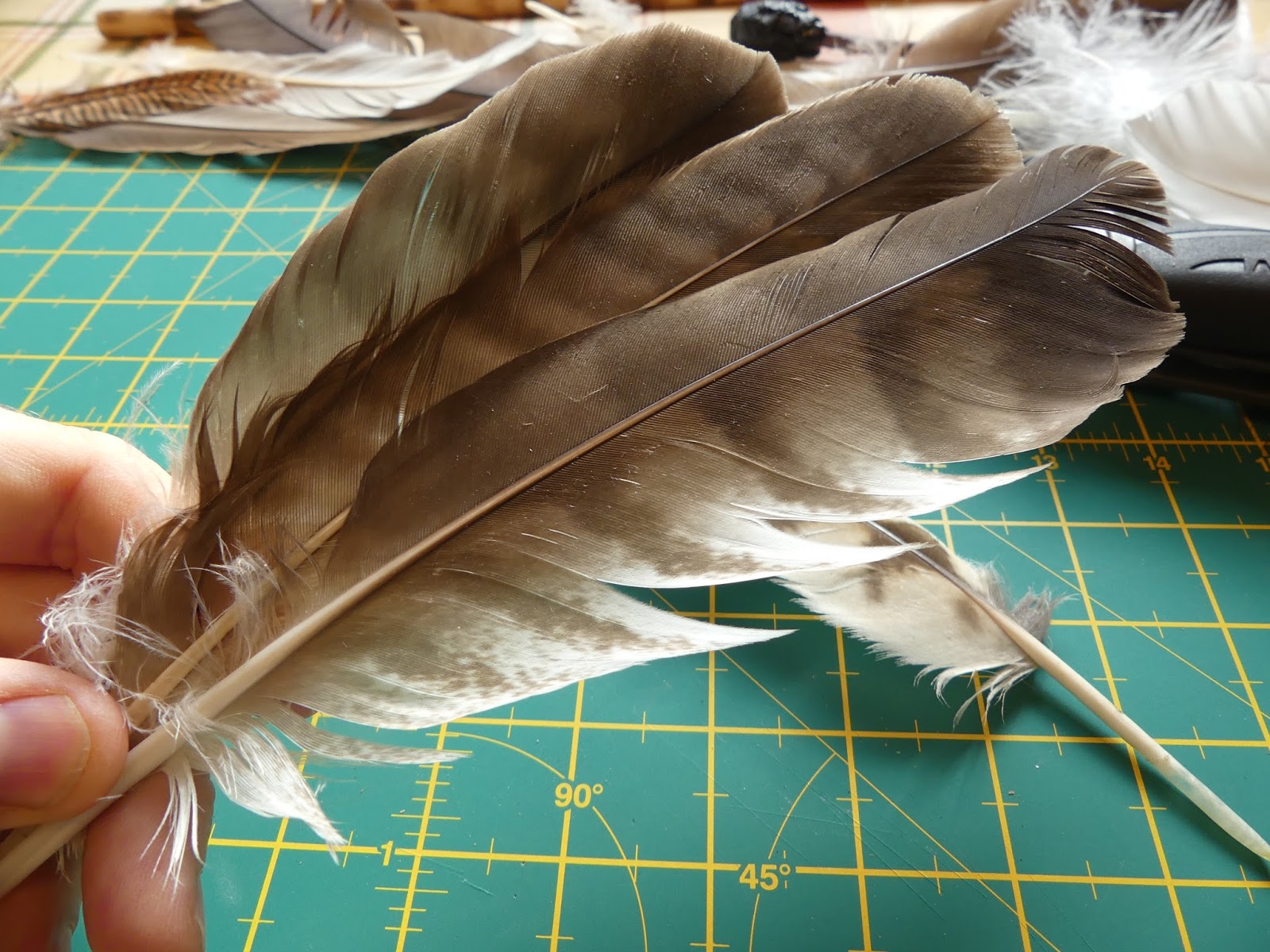 The Outdoor Traditionalist : Homemade Atlatl/ Dutch Arrows