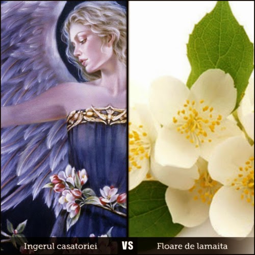 Iubire pentru ingeri: Ingerii florilor din Romania