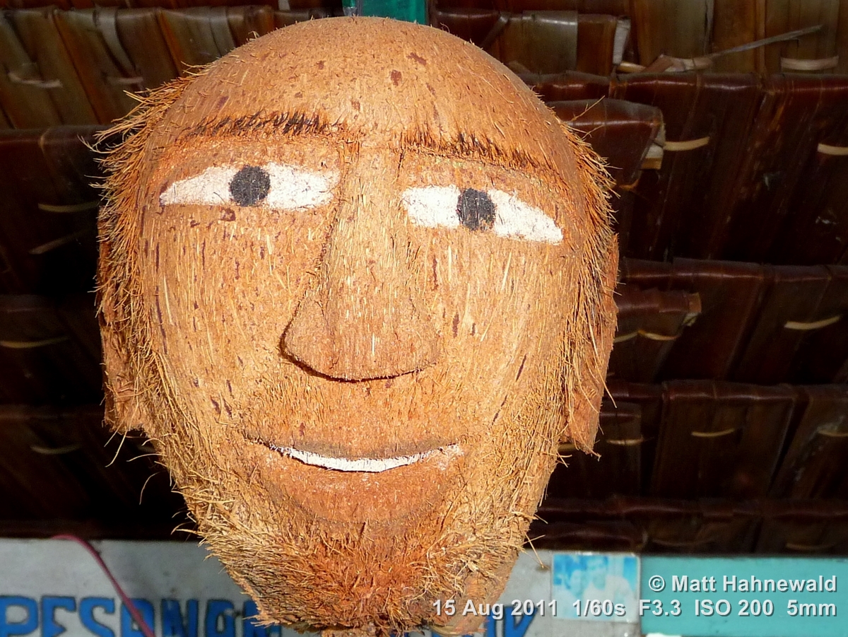 Facing the World: Profiling Coconuts on Sulawesi