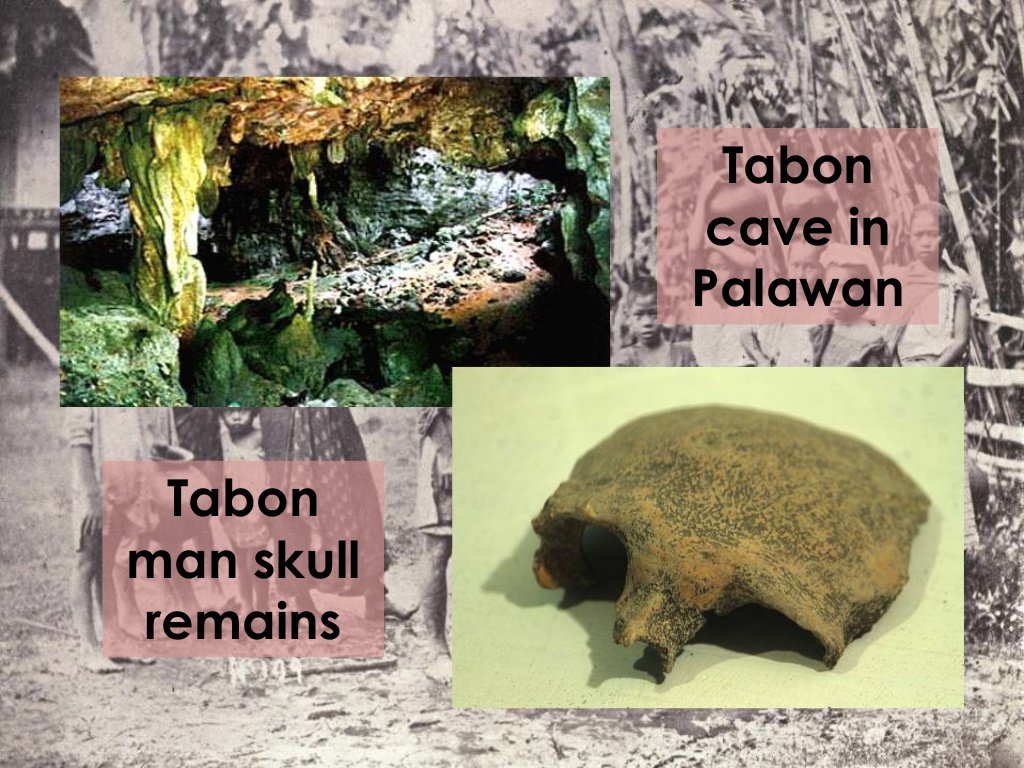 tabon man - philippin news collections