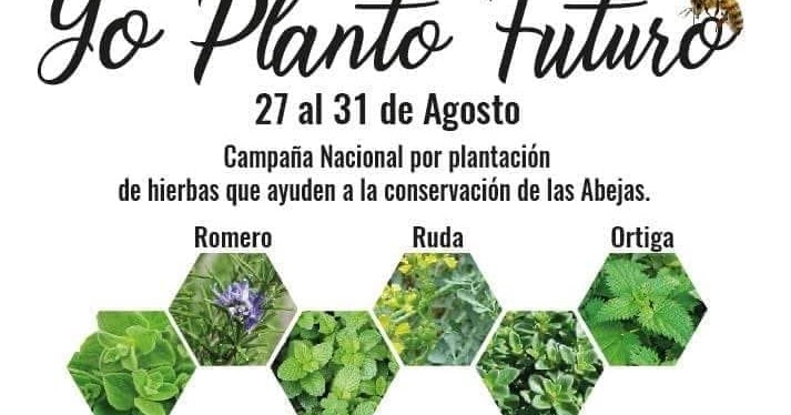 ASOCIACION ECOLOGISTA RIO MOCORETA: PLANTA HIERBAS QUEAYUDAN A LAS ...