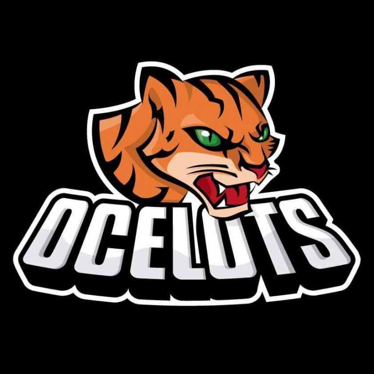 APRESENTANDO TIMES ' OCELOTS F.A - H.O.F