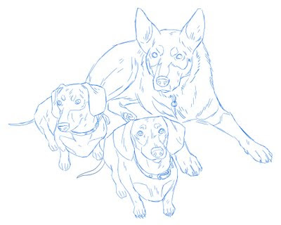 Sketches of M. S. Corley: 3 dogs sketch
