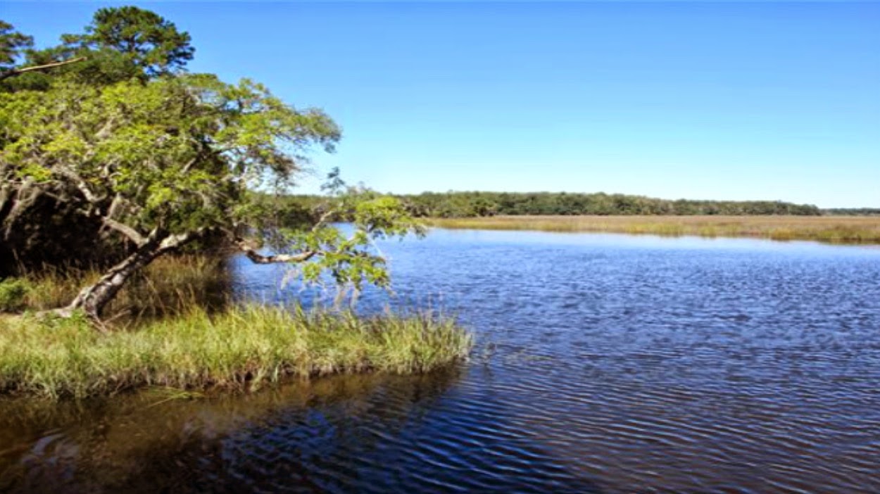 Hilton Head 32.1. Life on the Thirty-Second Parallel.: SC's ACE Basin a ...