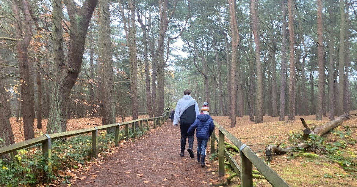Playdays and Runways: Visiting Formby and The Red Squirrel Nature Reserve