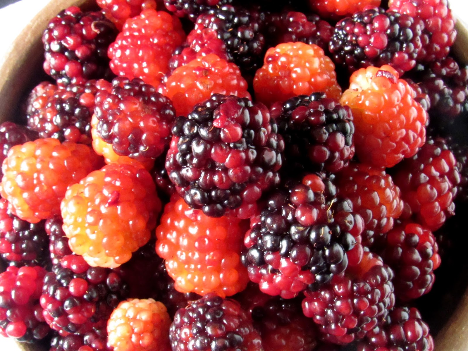 ANIS & PAPELON: Conserva de Moras