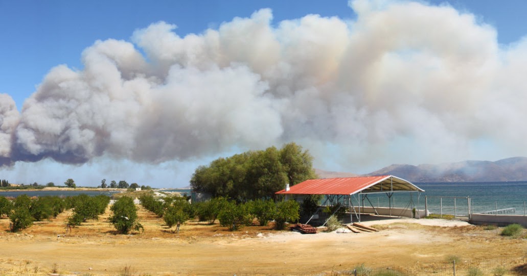 S.C.V. Photography Ideas: Summer Wildfire Starting...